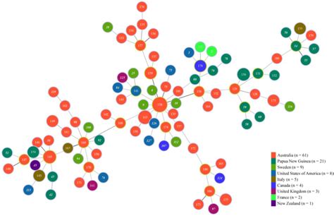 Minimum Spanning Tree Showing The Origin Of The B Download Scientific Diagram
