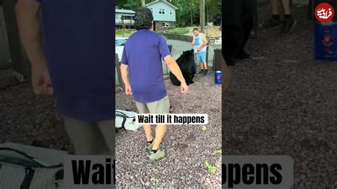 ویدئو مودب‌ترین خرس وحشی جهان؛ خروج از خانه با یک درخواست مودبانه