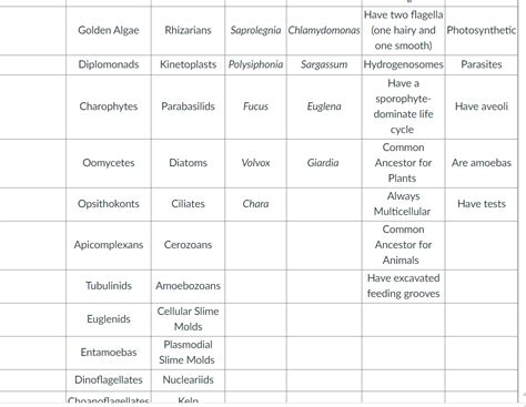 Solved Jumbled Protist Phylogeny And Facts Super Groups Sub
