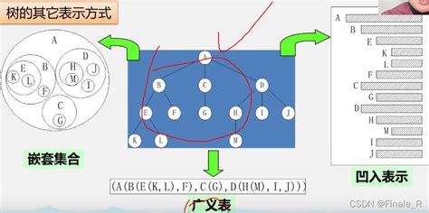 【3月第三周学习记录】数据结构与算法王卓 第五章树和二叉树 基本定义和术语篇根节点是不是分支节点 Csdn博客