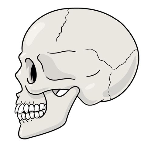 How To Draw A Skull In Profile Really Easy Drawing Tutorial