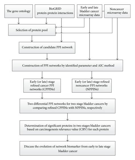 The Flowchart Of Constructing Both Stages Of Network Marker Of Bladder Download Scientific