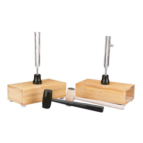 Pair Of Tuning Forks On Resonance Boxes Arihantlab