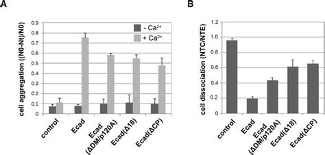 Quantification Of Cell Aggregation Activities A Quantitation Of Cell Download Scientific
