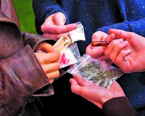 Kashmir Now Battles Rise In Drug Use