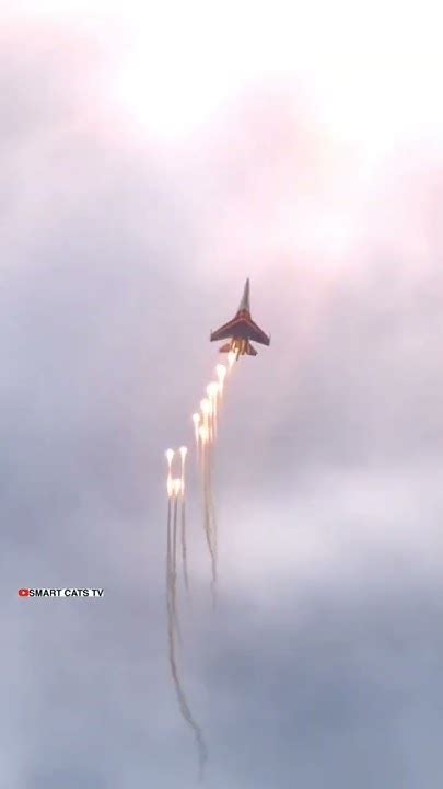 Лети над землёй Черныш 👼☀️🌈🐈‍⬛ ️ Cat Youtube