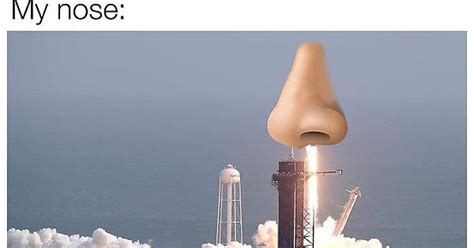 ͡° ͜ʖ ͡° Album On Imgur