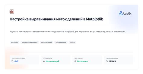 Выравнивание меток делений в matplotlib Визуализация данных labex