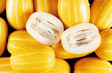 오이를싫어하는사람들 오이 불호인 사람들 보통 이것도 잘 못 먹음 Daum 카페