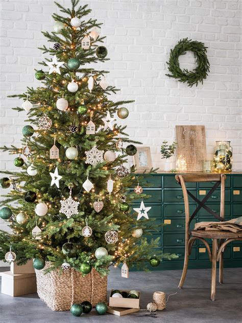LÉmerveillement Des Sapins De Noël Un Guide Complet Pour Trouver Votre Arbre Parfait