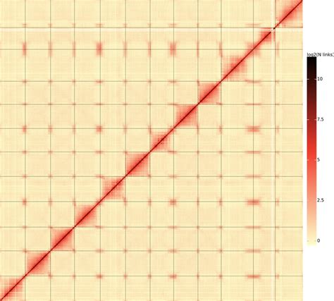 Heat Map Of Genome Wide Hi C Intra Chromosome Interactions In Solanum