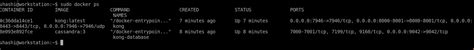 docker kong does not start following the getting started guide