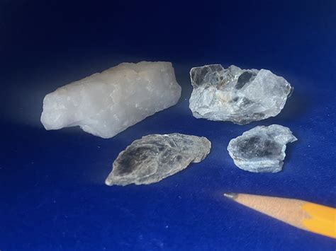 開催終了 5 11 土 フィールドワーク身近な岩石鉱物を見てみよう 参加体験する 福岡市科学館