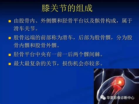 膝关节关节盘 有关节盘的关节 第4页 大山谷图库