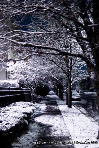 First Sticky Snow Of The Season I Love Snow When Tumbex