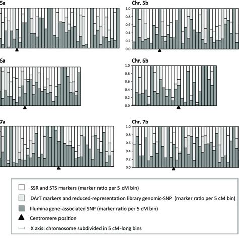 Pdf A High Density Snp Based Consensus Map Of Tetraploid Wheat As A