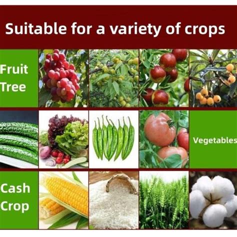46 Prilled Urea Competitive Price Good Quality Agriculture Fertilizers