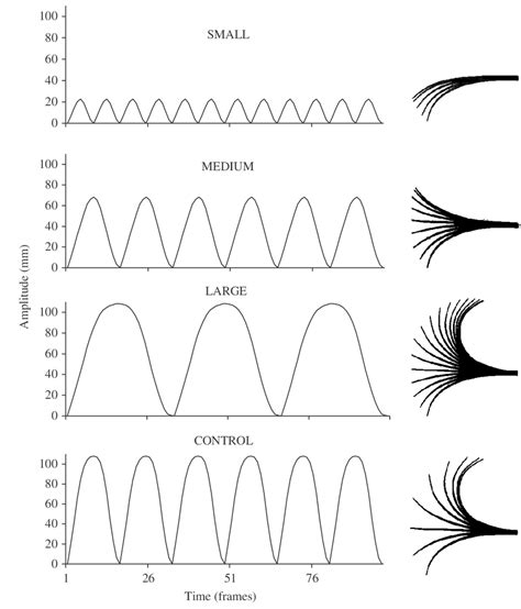 Tail Flick Sequences Used In Experiment 3 All Stimuli Had The Same Download Scientific Diagram