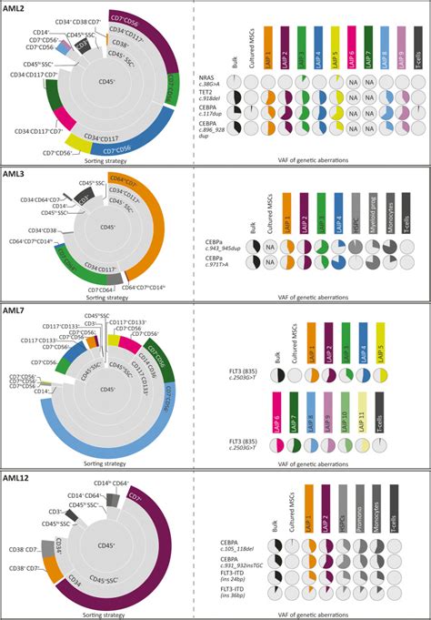 Genetic Diversity Within Leukemia Associated Immunophenotype Defined