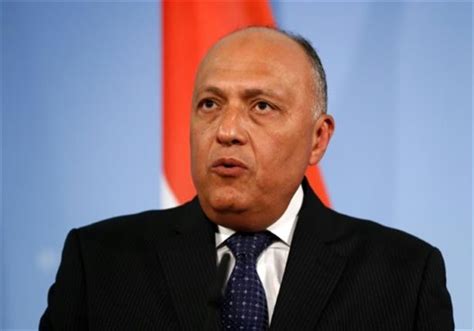 وزير الخارجية يؤكد أهمية التواصل بين السلطة التنفيذية والبرل مصراوى