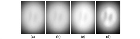 Comparison Of Each Filtering Method With The Preprocessing Algorithm In Download Scientific