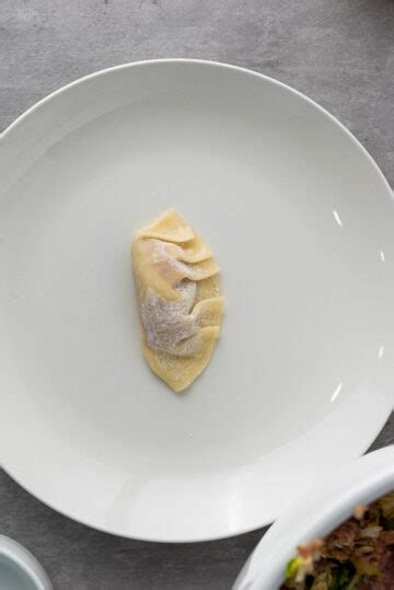 Easy Pan Fried Pork Dumplings With Napa Cabbage