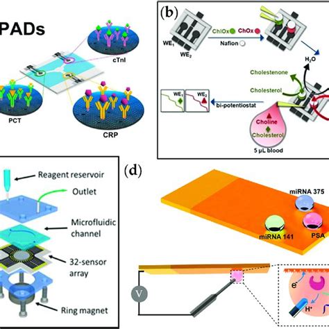 Optical Sensors For Multiplexed Detection Of Biomarkers For Metabolic