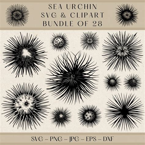 Sea Urchin Art Etsy