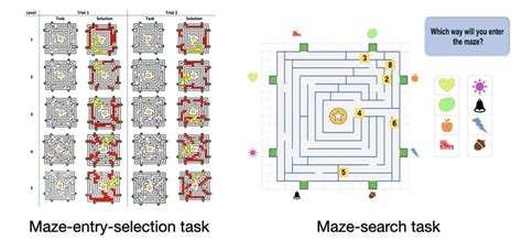 spatial cognition cognitive and developmental psychology