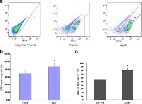 Flow Cytometric Analysis Of The Gfp Positive Cells With Apela