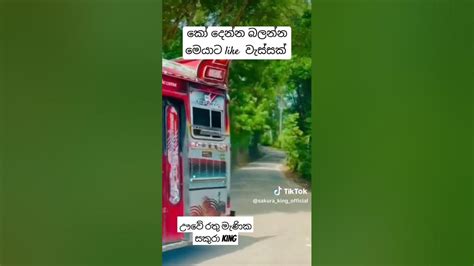 ආවේ රතු මැණික සකුරා King Youtube