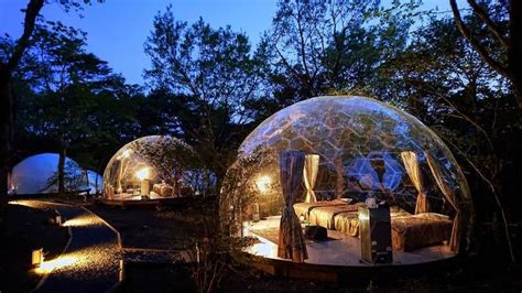 Two Glass Domes With Lights In The Middle Of Trees And Grass On Either