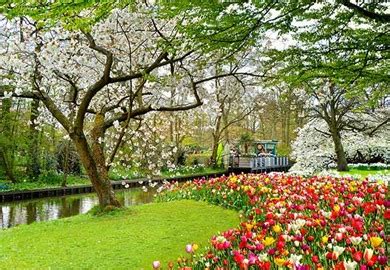 Keukenhof Rail Holidays 2024 2025 Train Tours