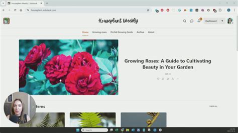 Mastering Post Organization With Tags By Linda Substack