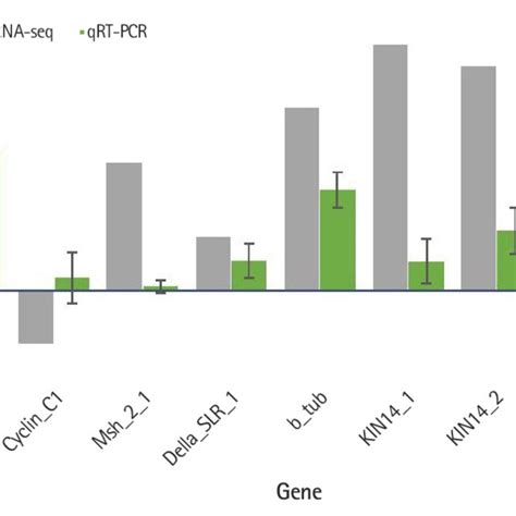 Quantitative Real Time Polymerase Chain Reaction Qrt Pcr Validation