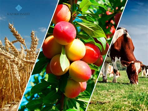 Kazakh Invest On Linkedin 🌻kazakhstan Can Become A Strategic Partner