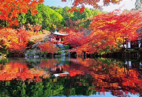 世界遺産醍醐寺・秋の特別公開 三宝院庭園＋五重塔＋金堂｜京料理の昼食付き・2021年11月 Kkday
