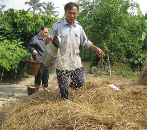 Chế Phẩm Vi Sinh