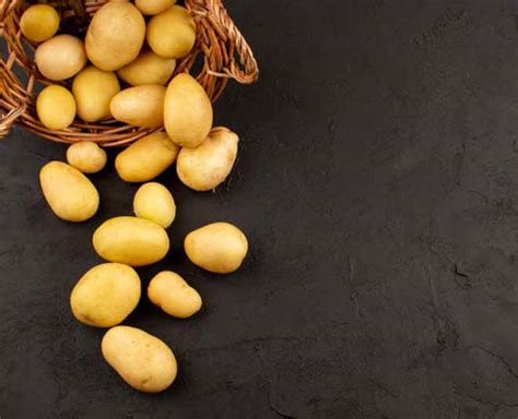 Homemade Easy And Effective Face Packs To Get Rid Of Old Acne Scars