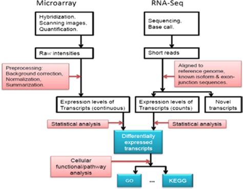 Overview Of Analysis Workflow For Microarray And Rna Seq Download