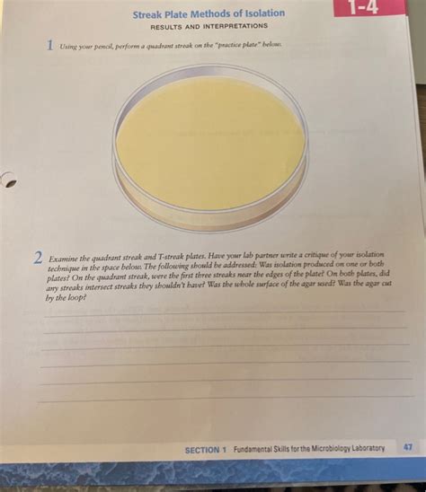 Solved 1 4 Streak Plate Methods Of Isolation RESULTS AND Chegg