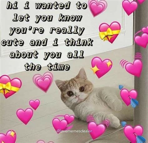 The 100 Best I Love You Memes That Are Cute Funny Romantic All At The