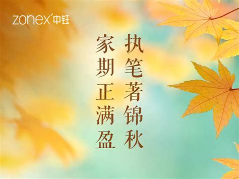 媒体中心公平、公正、公开、公共居住服务生态链