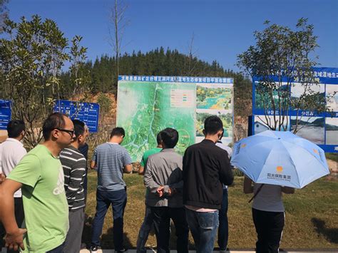 浙江省国土系统第三期地矿行政管理干部培训班学员赴龙南县废弃矿区足洞河流域湿地生态修复项目参观学习 浙江省矿业联合会
