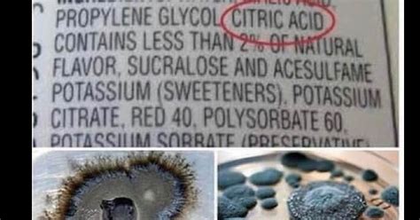 Scambusting Citric Acid And Mold