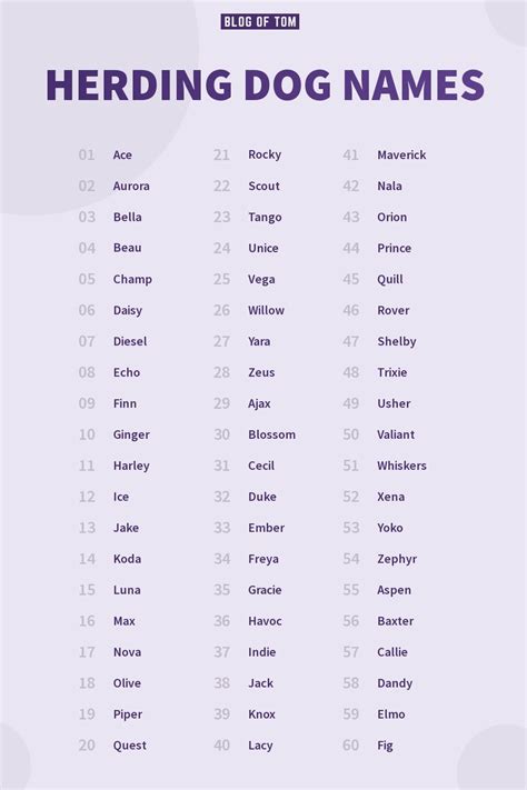 209 Basset Hound Names Best Ideas Artofit