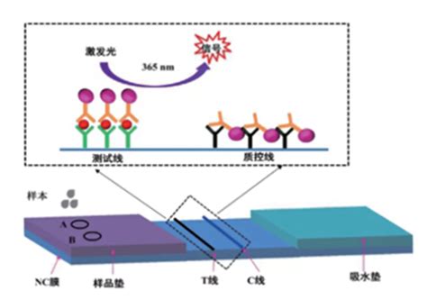MXene材料 Ti3C2 Nb2C MOF材料 Ti3C2 Nb2C 北科纳米