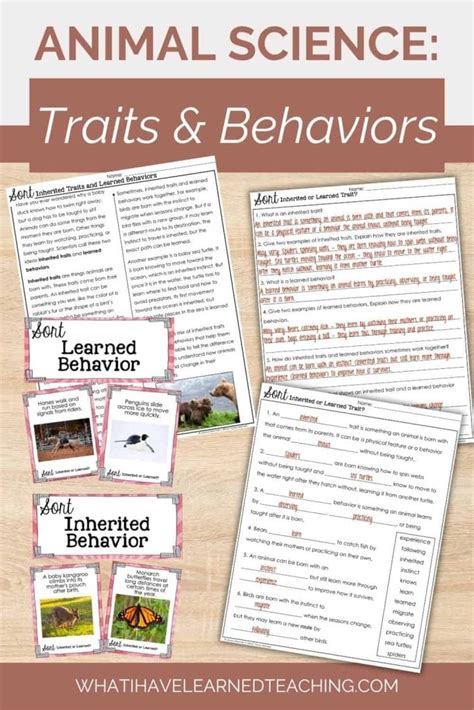 Ideas To Teach Inherited Traits Vs Learned Behaviors