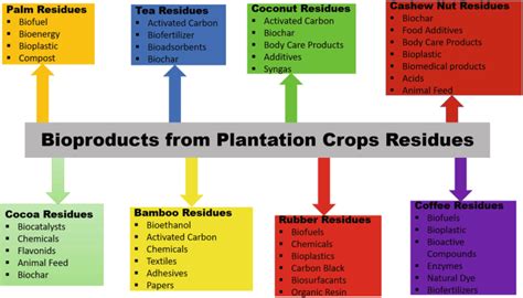 Plantation Crops Residue Utilization For Industrial Biotechnology And