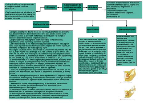 Mapa De Vía Vaginal Administración De Medicamentos Vía Vaginal